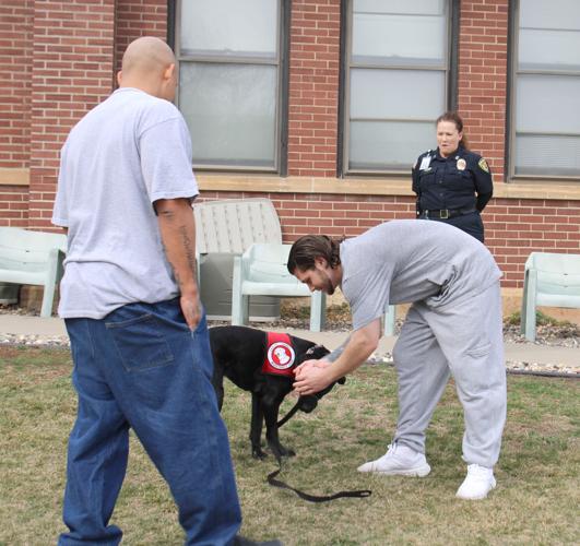 First service dogs reignite training program for inmates | News ...