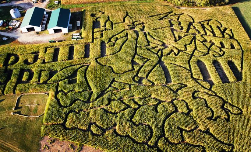 SCENE SEPTEMBER - Pick some apples and pumpkins at Trumps Orchard ...