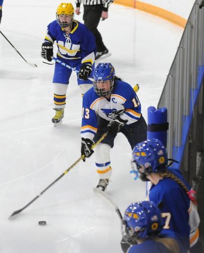 Waseca's Juberien sets all-time points record as Bluejays crush Windom ...