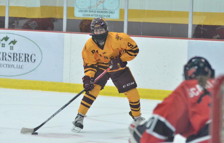 WINTER SPORTS GUIDE: Northfield girls hockey | Sports | southernminn.com