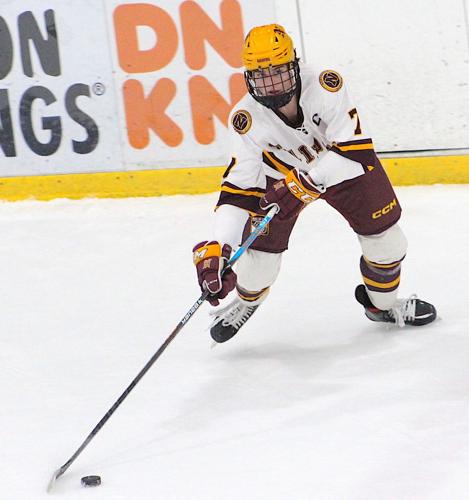 NHS boys hockey win section title | Sports | southernminn.com