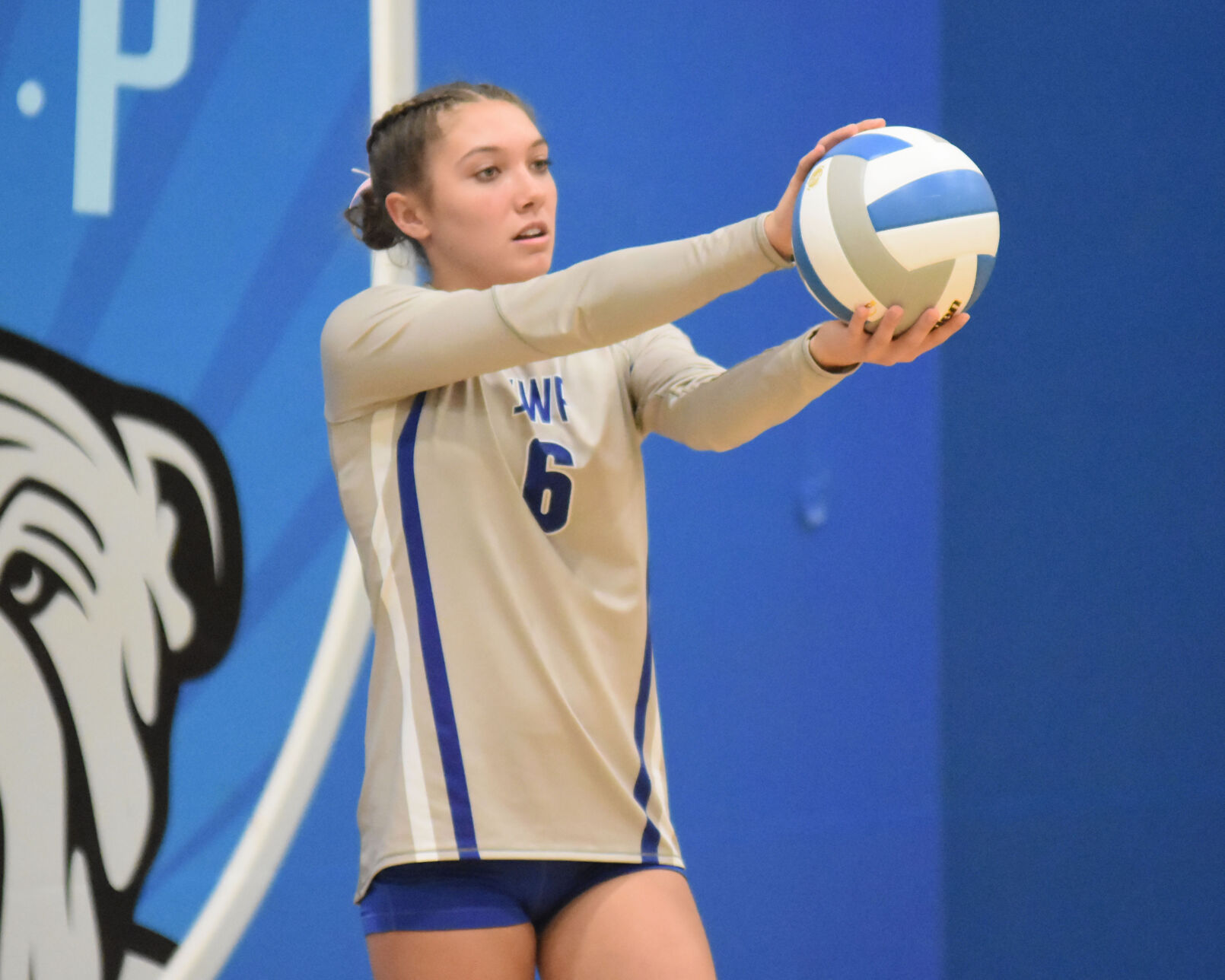 Resilient Bulldogs sweep Mankato Loyola to open sections | Sports ...