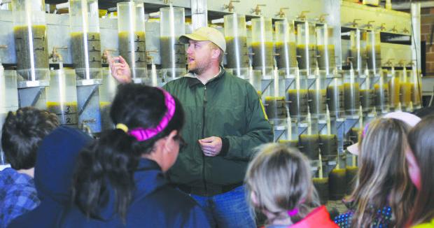 DNR’s 2020 fish stocking successful, despite challenges | State ...