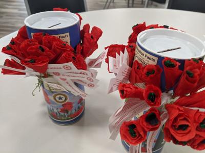 American Legion Family recognizes National Poppy Day, local teen leads ...