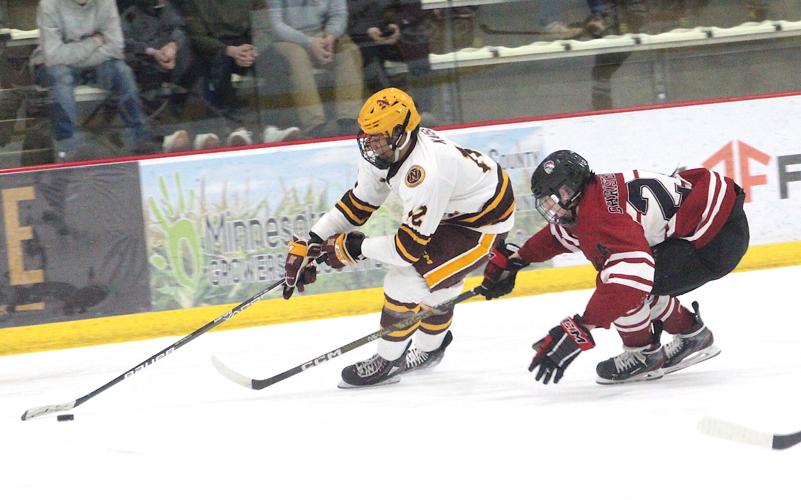 NHS boys hockey win section title | Sports | southernminn.com