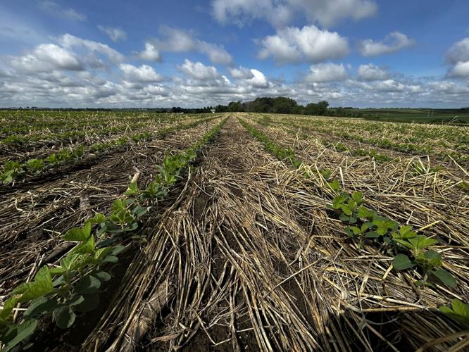 Rice County selects 2025 Outstanding Conservationist | Community ...