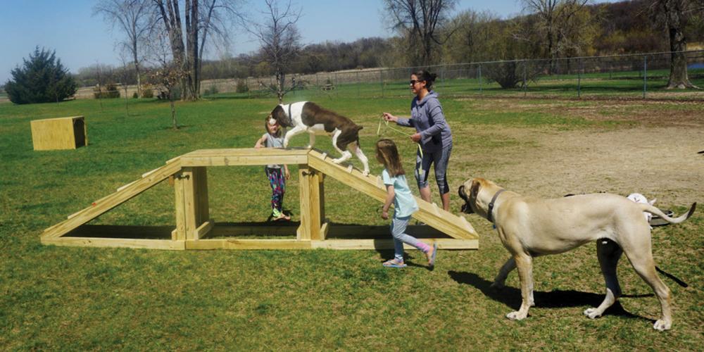 OHS Construction Tech class builds structures for city's dog park ...