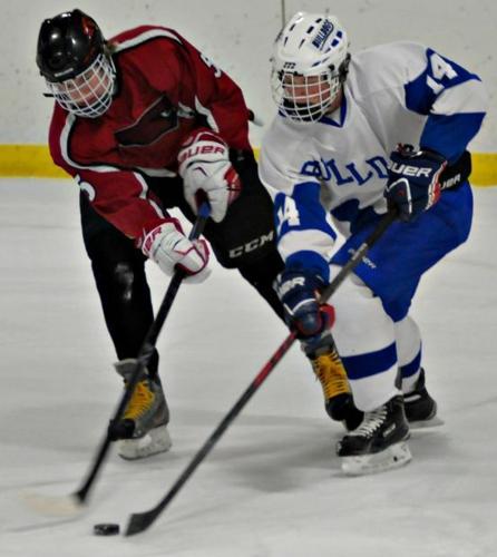 Bulldogs barrage Cardinals with 51 shots, win 6-0 | News | southernminn.com