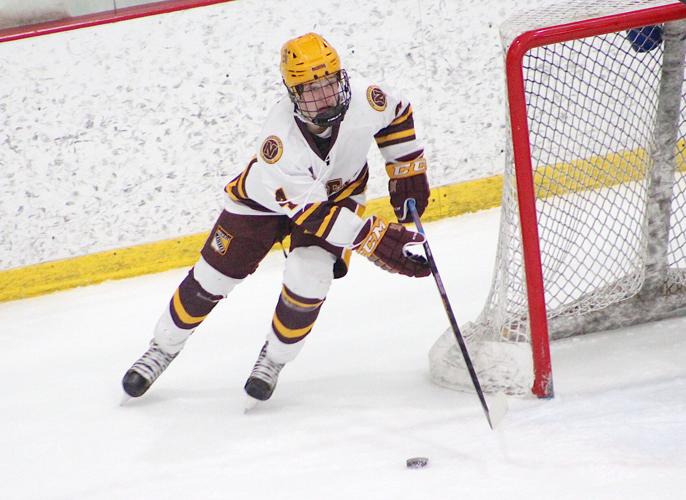 NHS boys hockey win section title | Sports | southernminn.com