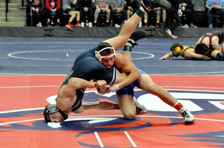 Doherty leads the way with 5th-place finish at state as Giants battle ...