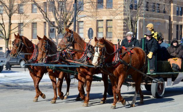 GALLERY: Cold temps, smaller crowd at Waseca's 65th Sleigh & Cutter ...