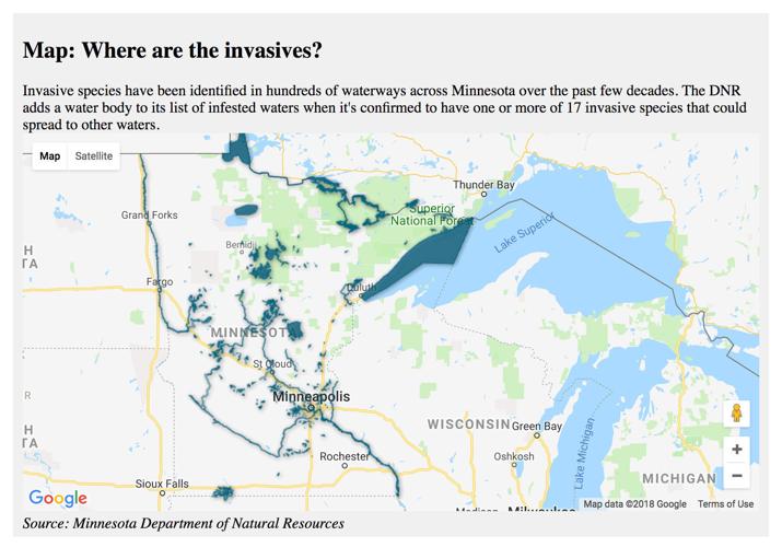 Measuring the impact of invasives in Minnesota lakes is complicated ...