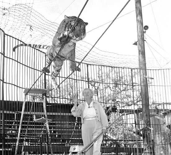 Mabel, Mabel, tiger tamer | Community | southernminn.com