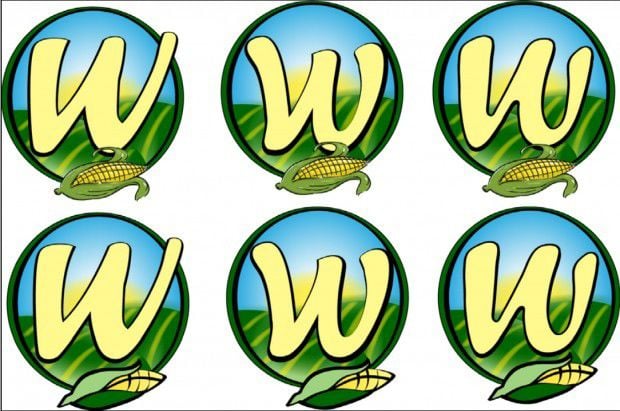 UPDATED: Waseca County explores new logo options | News | southernminn.com
