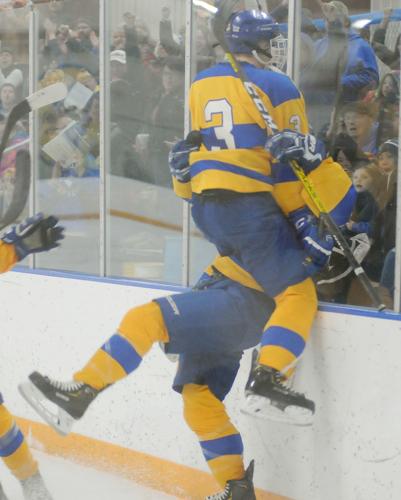 Boys hockey: Waseca runs win streak to four with win over Luverne ...