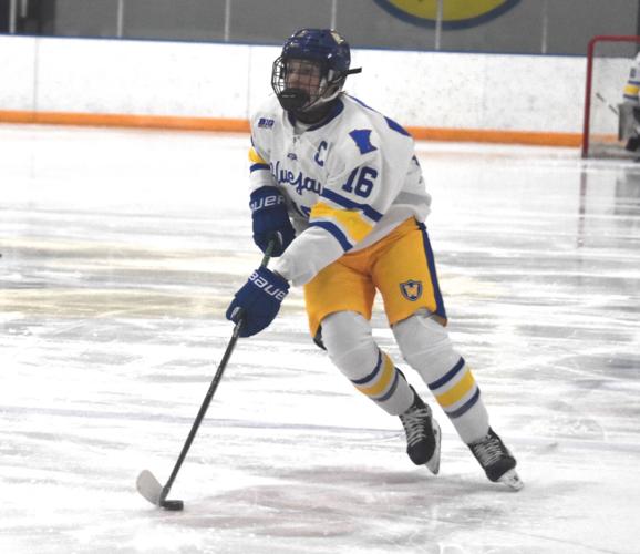 Waseca boys hockey wins Engelstad Holiday Classic in Thief River Falls ...