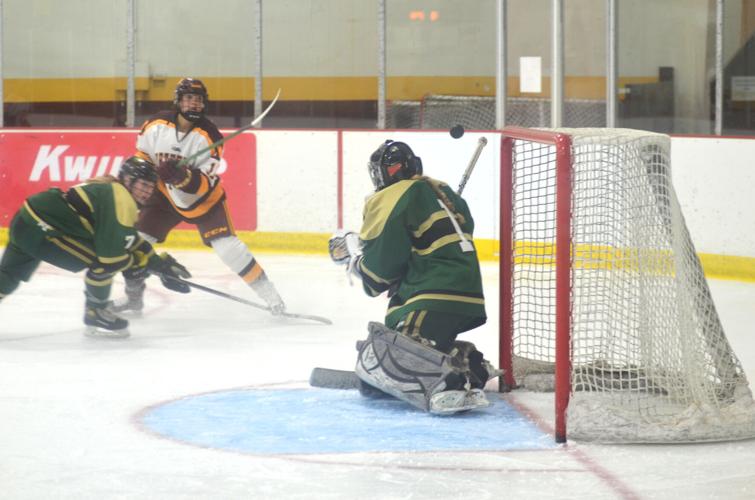 Puppe scores four as Raider beat Chisago Wildcats 6-2 | Sports ...