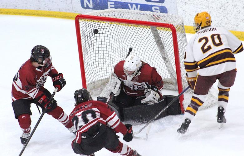 NHS boys hockey win section title | Sports | southernminn.com