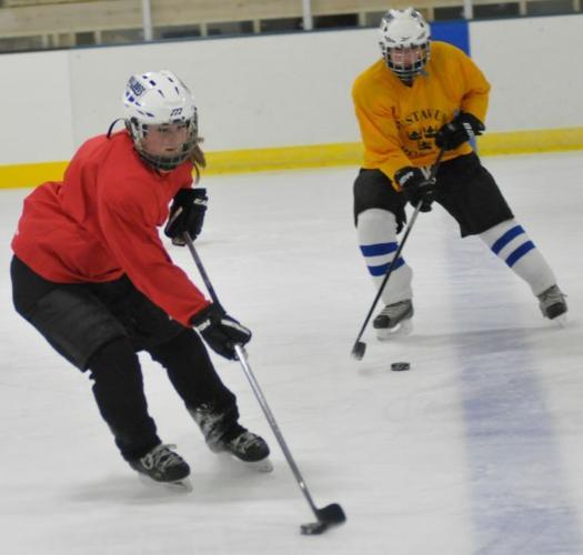 GALLERY: Lady Bulldogs hockey skates into the season | Sports ...