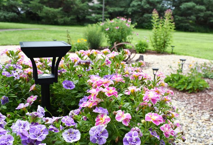 'Disaster' before FiftyNorth's annual picnic spurs community action, support | News ...