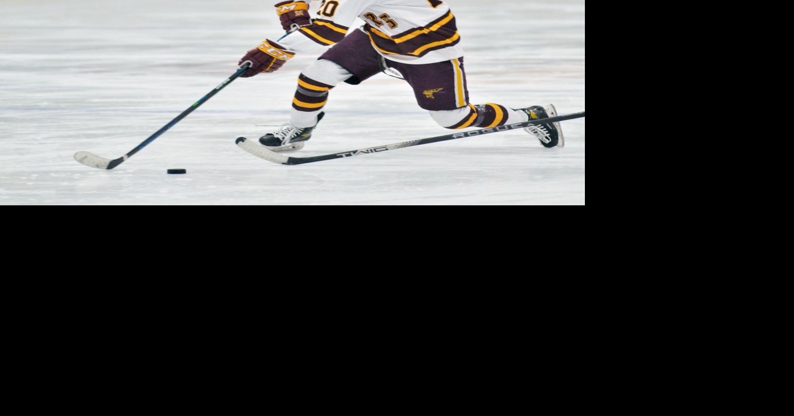 WINTER SPORTS GUIDE: Northfield boys hockey | Sports | southernminn.com