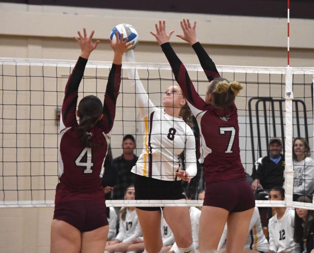 Tigers win thriller against Cobras to advance to section quarterfinals ...