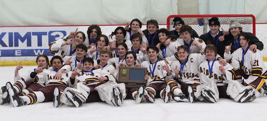 NHS boys hockey win section title | Sports | southernminn.com