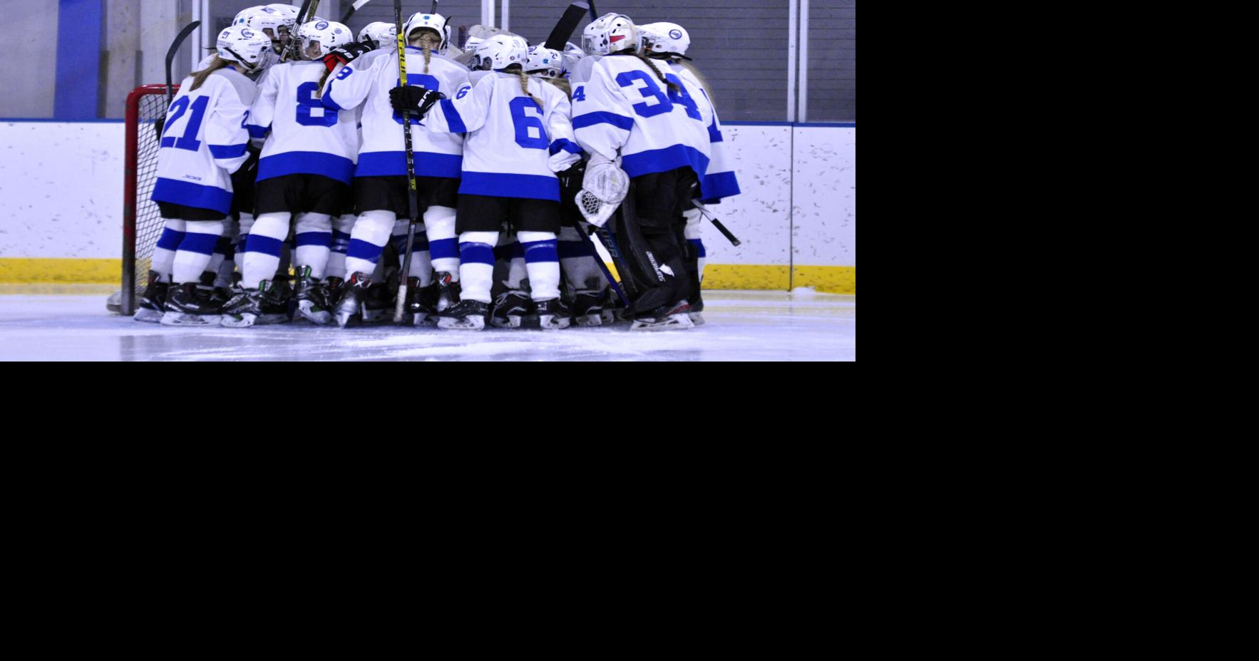 Bulldogs lean on dominant 3rd period to defeat Rochester Mayo 3-1 ...