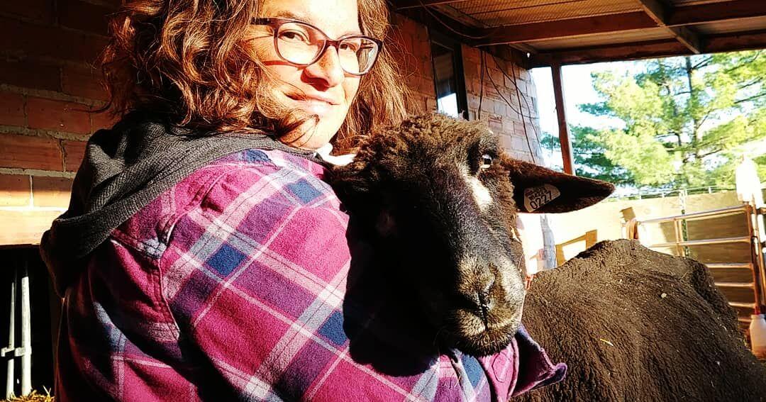 Lonsdale farm to present The Basics of Raising Sheep for Wool ...