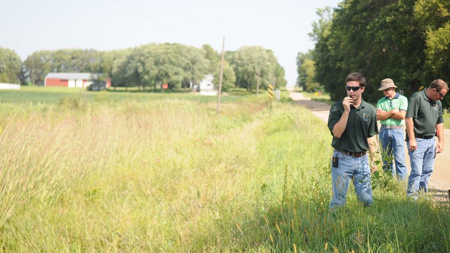 Buffer Field Day addresses questions of implementation | News ...