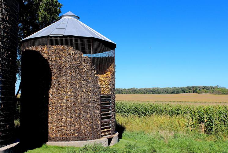 CENTURY FARMS: Rysavy family celebrates 100 years on the land | News ...