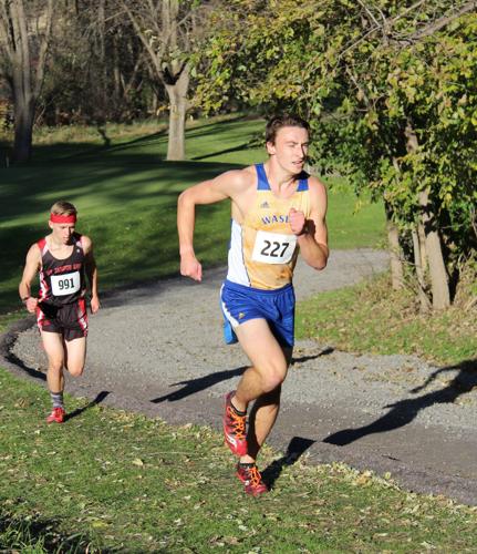 Waseca cross country takes pair of top-3 finishes at conference meet ...