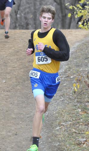 Waseca girls team, Feldkamp represent Waseca at Class AA state meet ...