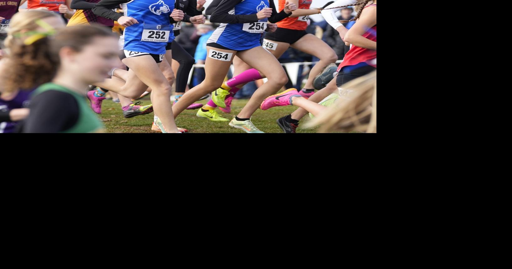 State cross country closes careers, shows bright futures for Owatonna ...