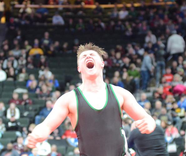 Rendler to wrestle for 220-pound state title, McEachran and Van Ryn ...