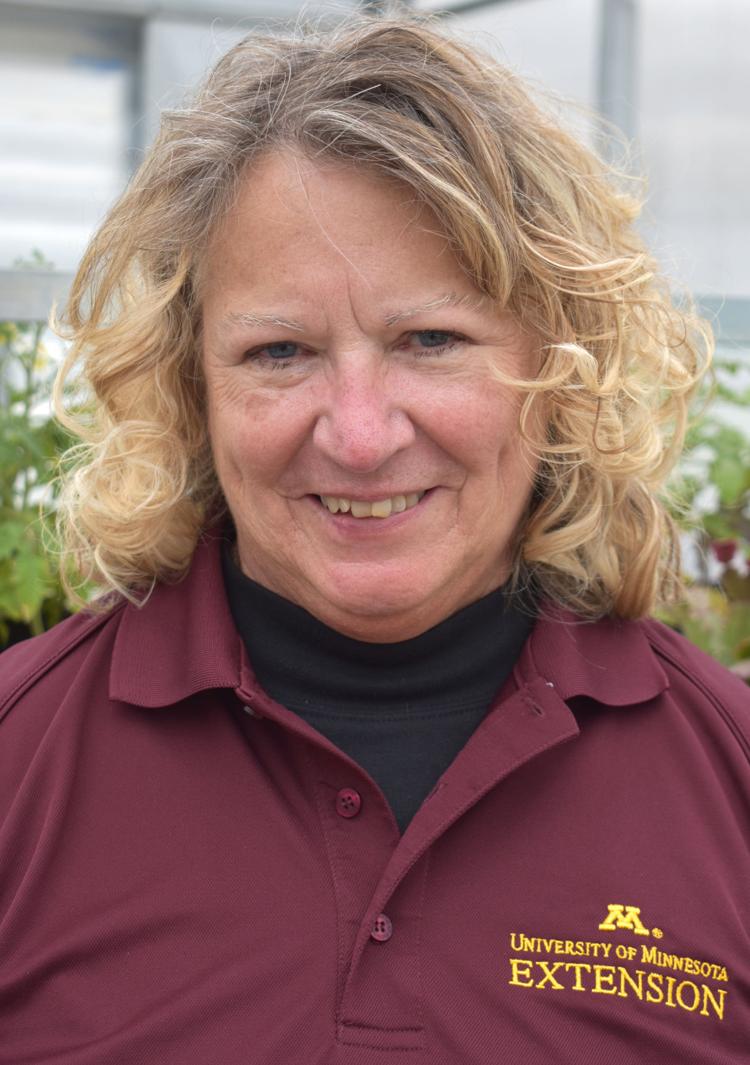 LORRIE RUGG: Is climate change for real? | Opinion | southernminn.com