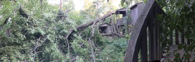 Volunteers help clear storm damage at Camp Omega | Community ...