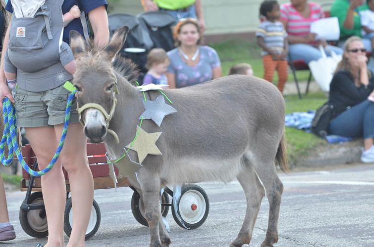 Faribault Pet Parade takes a trip to outer space | News | southernminn.com