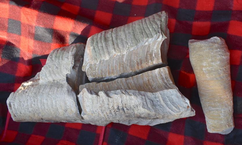 Teen finds likely prehistoric fossil on Faribault riverbank | News ...