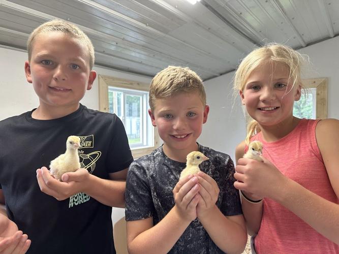2024 presidential pardoned turkeys will find permanent home at Waseca's ...