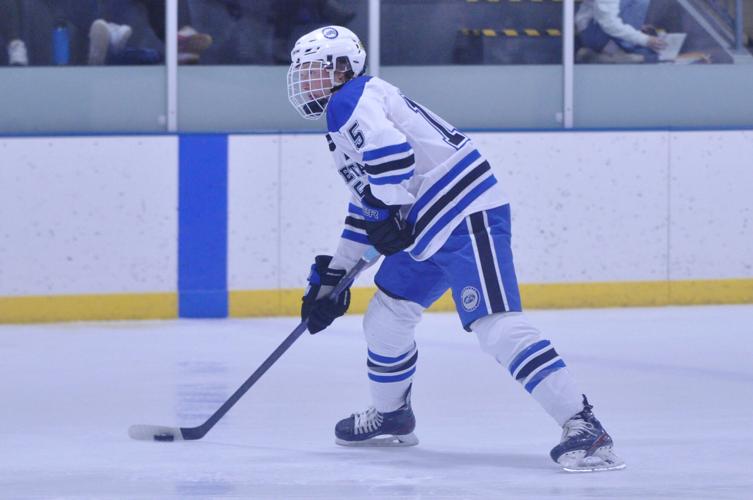 Impressive performance from the Bulldogs falls short in loss to New Ulm | Sports | southernminn.com