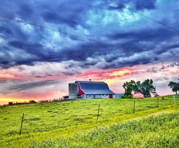 CENTURY: Prieves preserve family farm in Faribault — 'It’s home to ...