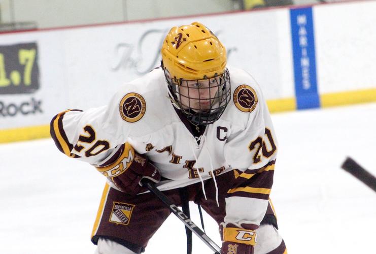 NHS boys hockey win section title | Sports | southernminn.com