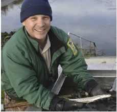 Carp kill at Lake Frances necessary after discovery of CEV | Sports ...