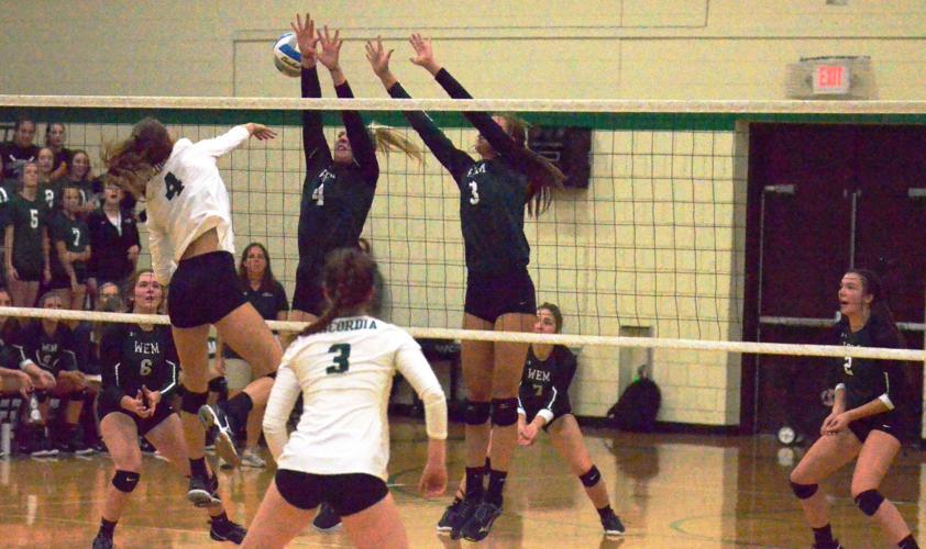 Top 10 FDN Sports Stories of the Year | Sports | southernminn.com