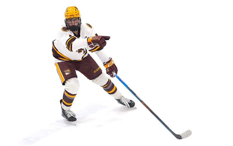 NHS boys hockey win section title | Sports | southernminn.com