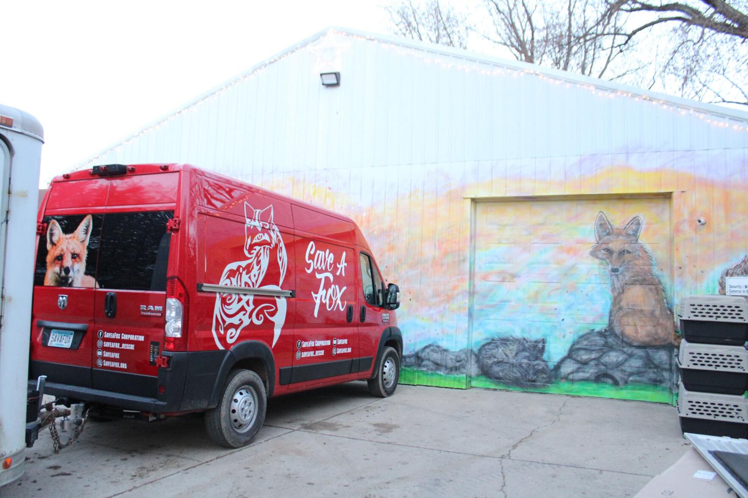 SaveAFox's Mikayla Raines 'gave her life' to saving animals | News ...