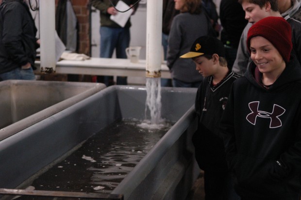 Waterville Area Fisheries produce more than 50 million eggs for ...