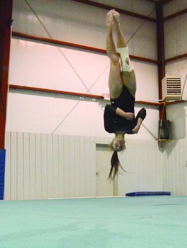 Matejcek wins floor in final home dual, but Faribault gymnastics falls ...