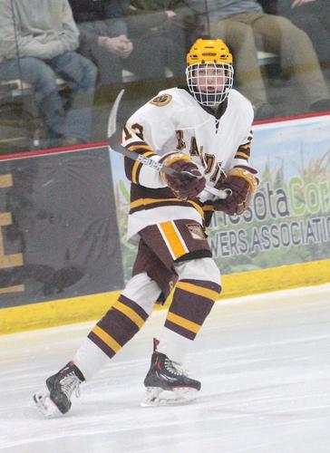 NHS boys hockey win section title | Sports | southernminn.com